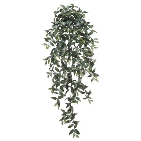 51 Ruscus Hanging Bush X18 With 547 Leaves Green Artificial 6