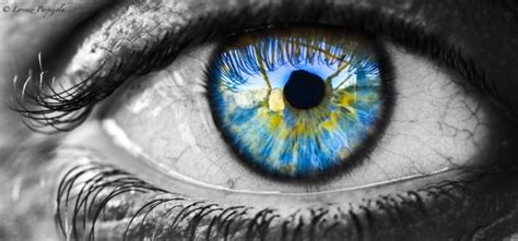 배경 화면 경치 등 화이트 검은 포토샵 단색화 스포츠 일몰 바다 물 애정 하늘 베니스 사진술 실루엣 바닷가 해돋이 고요한 저녁 아침