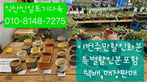 익산신일토기다육다육화분특별할인♡특가분포함판매010 8148 7275 Youtube