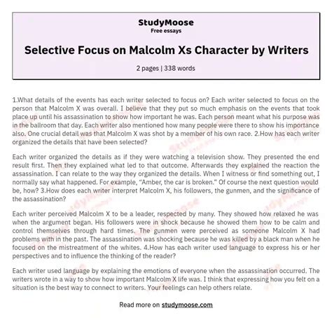 Selective Focus On Malcolm Xs Character By Writers Free Essay Example