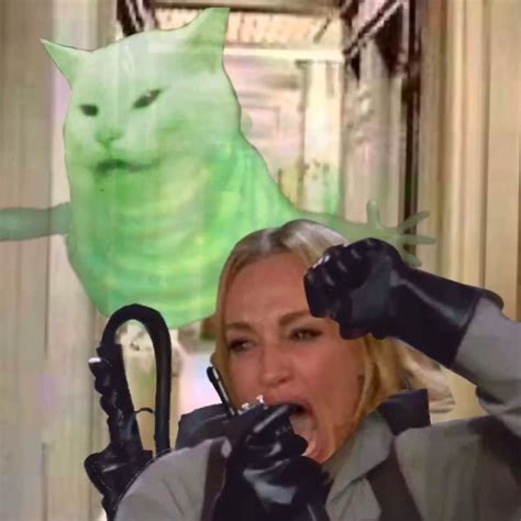 25 Smudge The White Cat Memes Ideas Cat Memes Memes Funny Memes