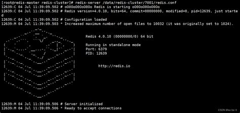 【redis】生产级部署本地项目部署需要的软硬件 Csdn博客