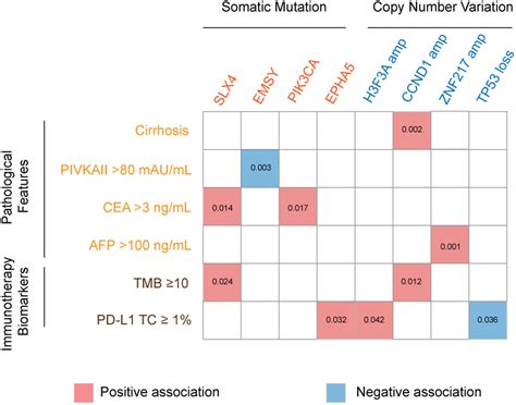 Genomic Landscape Of Chinese Patients With Hepatocellular Carcinoma Using Next Generation