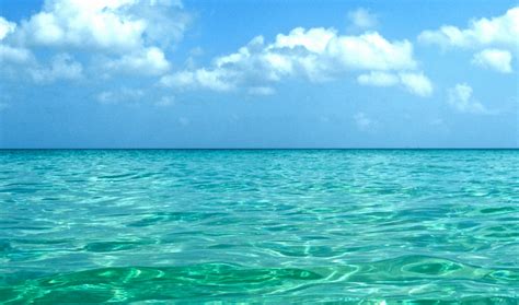 叶圣陶：认识自己教育环境革新