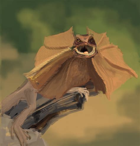 Frilled Lizard Study By Stormandy On Deviantart