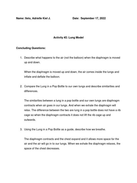 Lung Model Activity Pdf