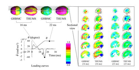 Kinematic Response And Rst Principal Strain Contour Plot In Two