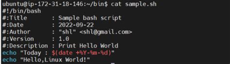Bash Shell Script