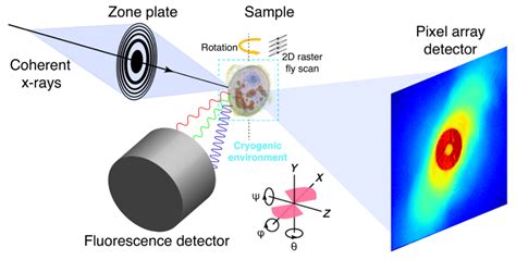 Physics X Ray Imaging Physics Instrumentation Applications