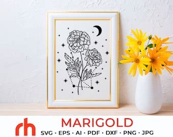 Birth Flowers SVG Bundle Plants Each Month Cut File Etsy