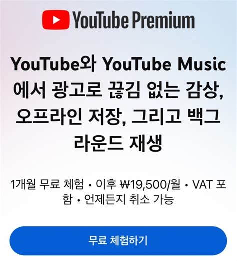 가격 인상후 유튜브 프리미엄 끊고나서 느낀 장점 인스티즈instiz 이슈 카테고리