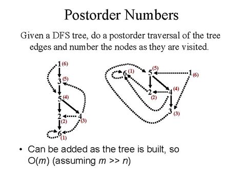 Bfs Dfs Applications Of Dfs Trees And Forests