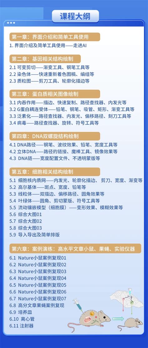 Ai科研绘图从入门到进阶哔哩哔哩bilibili