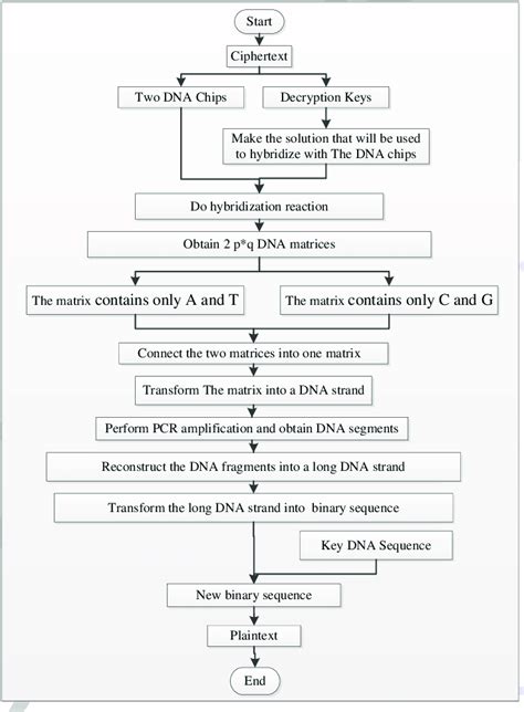 Decryption Flowchart Download Scientific Diagram