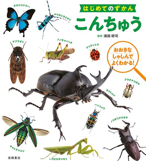その他 高橋書店