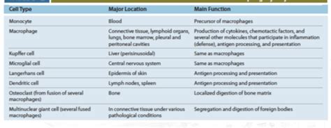 Module 3 Connective Tissue Flashcards Quizlet