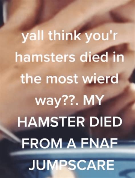 New Fnaf Boundless Scaling R Whowouldcirclejerk