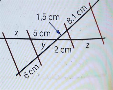 Solved Find Value If X Y And Z By Using Thales Theorem Chegg