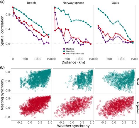 relationship between weather synchrony and masting seed production