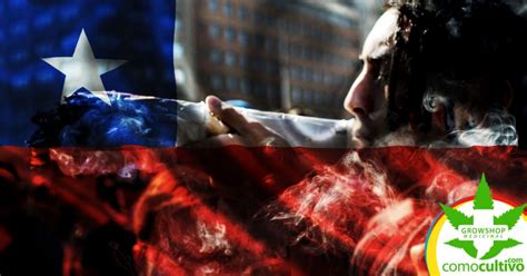 Chile Es El 5° En Los Países Que Más Consumen Marihuana En El Mundo
