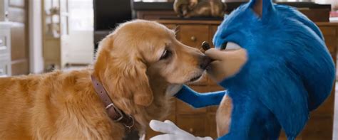Sonic What Are You Doing Please Stop R Sonicthehedgehog
