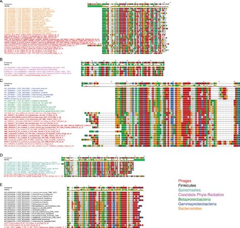 Figures And Data In Structure Of The Bacterial Ribosome At 2 Å