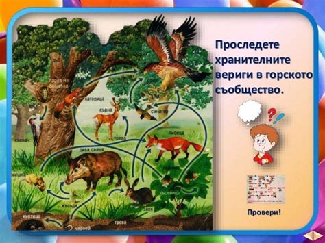 34 Разнообразието на живата природа Обобщение ЧП 4 клас Булвест