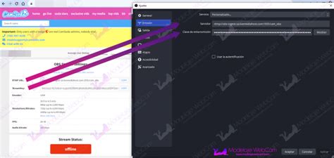 Cómo configurar CamSoda con OBS Modelaje WebCam