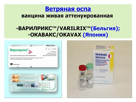 Рекомендованная вакцинация - презентация онлайн