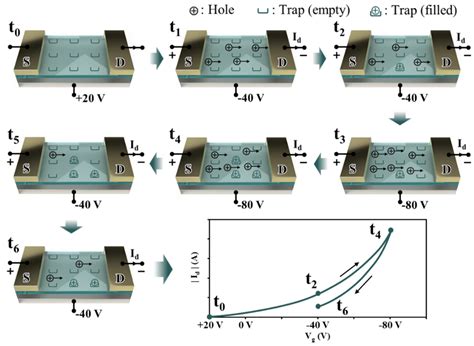 Effects Of Charge Traps On Hysteresis In Organic Field Effect Transistors And Their Charge Trap