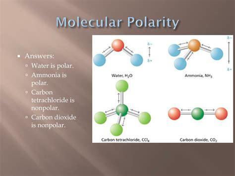 How To Determine A Molecules Polarity