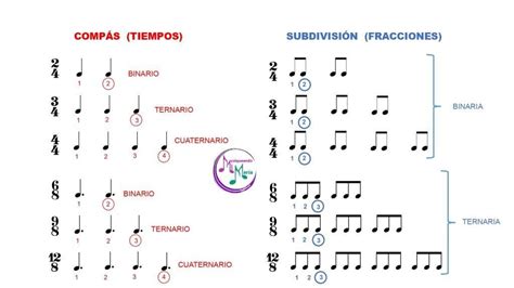 ¿cómo Funciona La Teoría De Los Compases Musicales Musicway