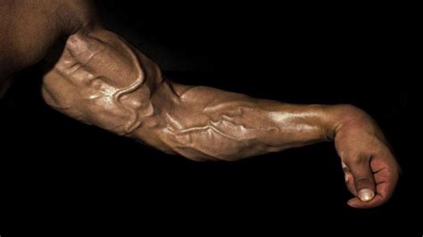 Biggest Forearms In The World And Bodybuilding Revealed