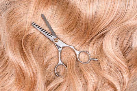 미용사 전문 숱이 가위 또는 배경으로 금발 곱슬 머리에 가위 또는 가위 뷰티 살롱 헤어 익스텐션 및 재료 미용 도구 헤어 케어