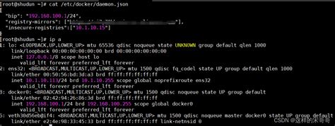 docker实现跨宿主机的容器之间网络互联 docker容器与宿主机网络互通 csdn博客