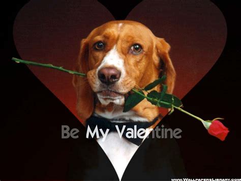 Funny Valentine Wallpapers Wallpaper Cave