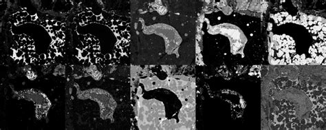 Create Galactic Art With Tkinter Towards Data Science