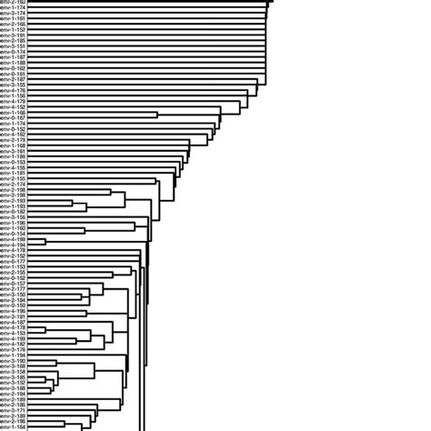 Single Linkage Dendrogram Corresponding To The Distance Matrix Obtained