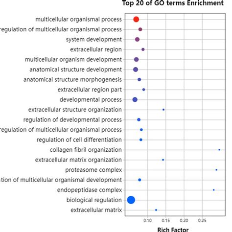 The Top 20 Gene Ontology Go Terms Of The Degs The Y Axis Indicates