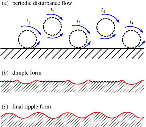 Schematic Diagram Of Ripple Formation Download Scientific Diagram