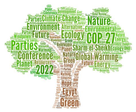 The Cop27 Agenda What You Need To Know