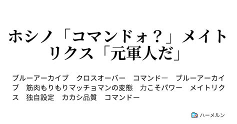 ホシノ「コマンドォ？」メイトリクス「元軍人だ」 ハーメルン