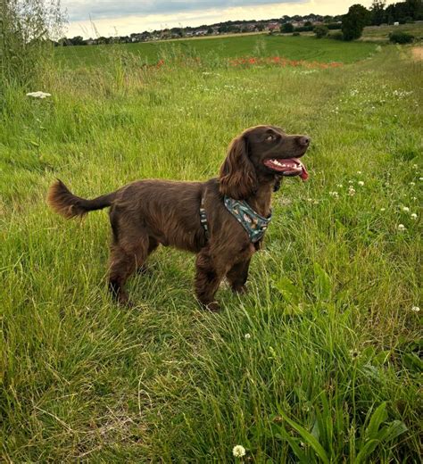 Rachael Rodden Dip Cii On Linkedin Sunday Funday Means A Long Walk
