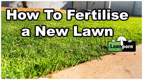 How To Fertilize A New Lawn Youtube