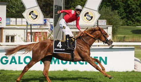Django Freeman Set For Australian Debut Just Racing