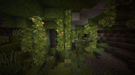 희귀한 건축 블록을 위한 5가지 독특한 Minecraft 바이옴을 탐험하세요