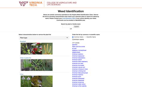 Virginia Weed Identification Chart