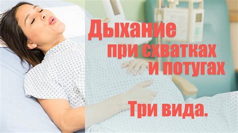 Дыхание при схватках и потугах Три вида Youtube