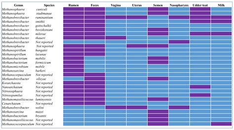 Holistic View And Novel Perspective On Ruminal And Extra