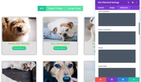 divi plugin highlight divi filtergrid